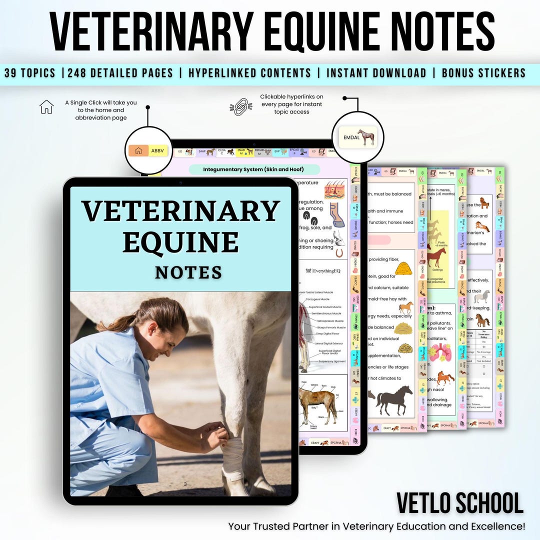 Equine Veterinary Notes Bundle, Digital Horse Medicine & Care Study ...