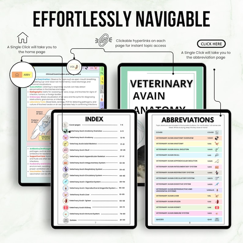 Veterinary Avian Anatomy Bundle, Bird Anatomy Study Notes & Diagrams ...
