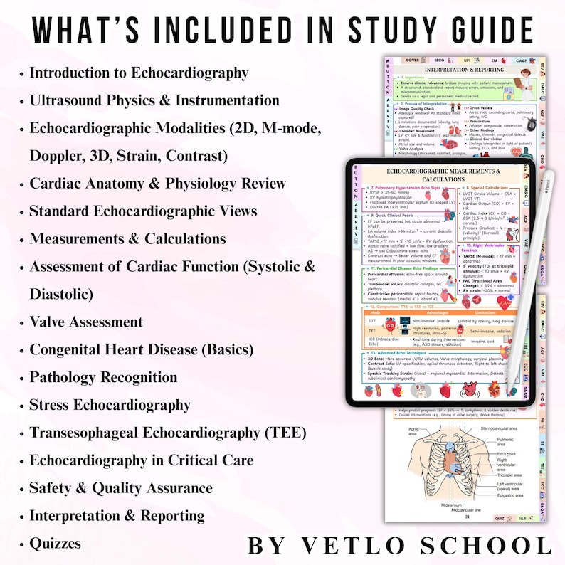 Echocardiography Study Guide PDF, Echo Ultrasound Notes, 80 Pages Bonus ...