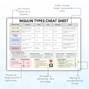 Insulin Types Cheat Sheet 2025-26: Nurse Study Guide (digital Download ...