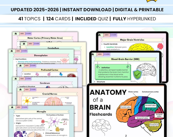 Anatomy of A Brain Flashcards | Brain Anatomy | Anatomy Notes | Nursing ...
