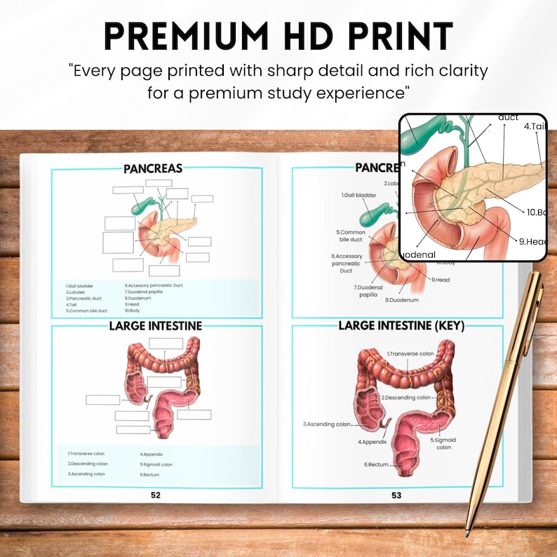Human Anatomy Labeling Workbook Physical Book | Anatomy Study Guide for ...