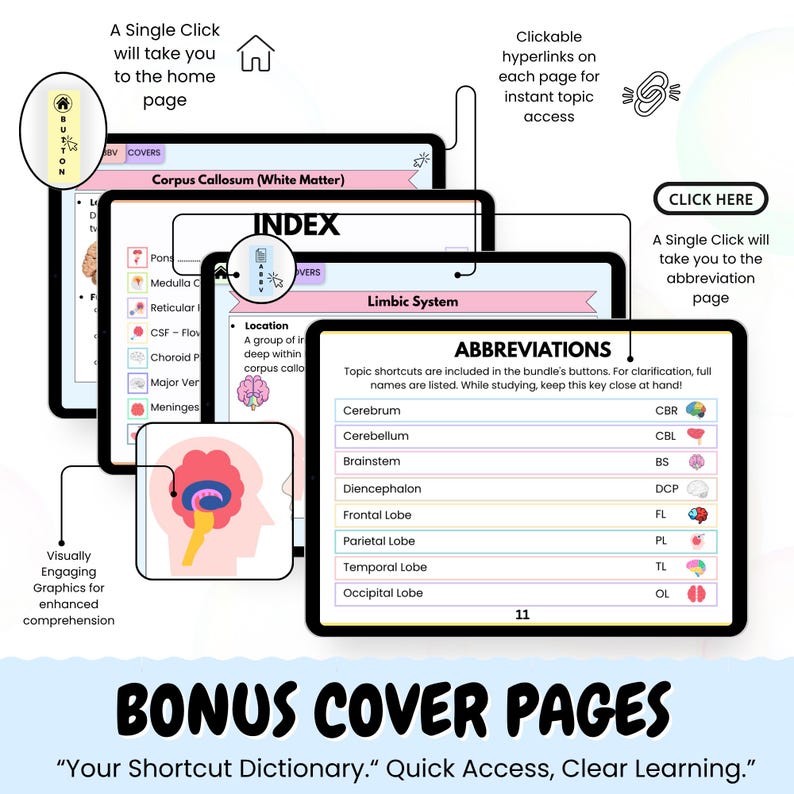 Brain Anatomy Flashcards | Digital Neuroscience Study Cards | Human ...