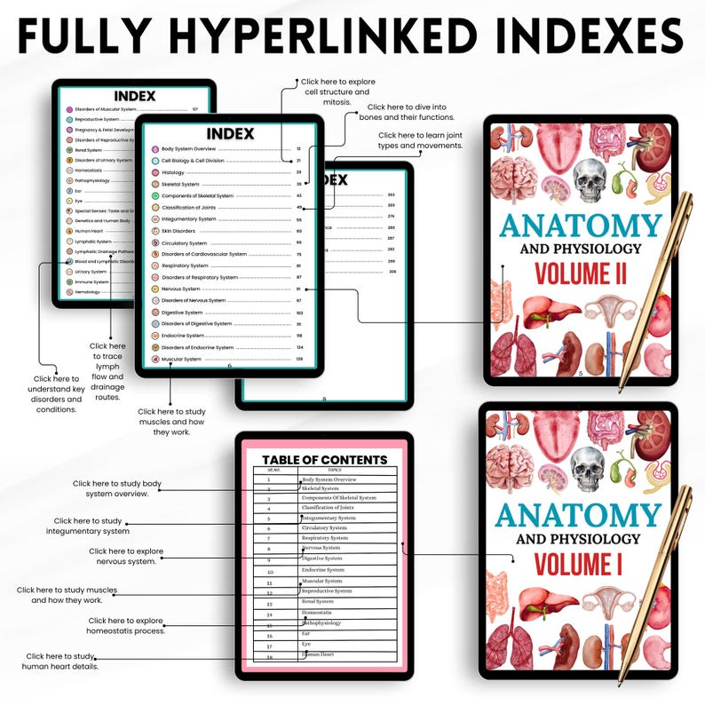 Anatomy & Physiology Digital Study Bundle, Human Body Systems Functions ...
