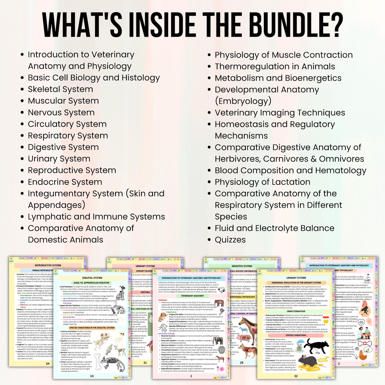 Veterinary Anatomy Notes, Veterinary Nurse, Anatomy Study Guide, Vet ...