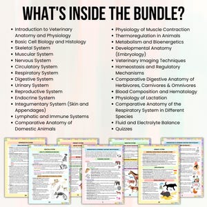 Veterinary Anatomy Notes, Veterinary Nurse, Anatomy Study Guide, Vet ...