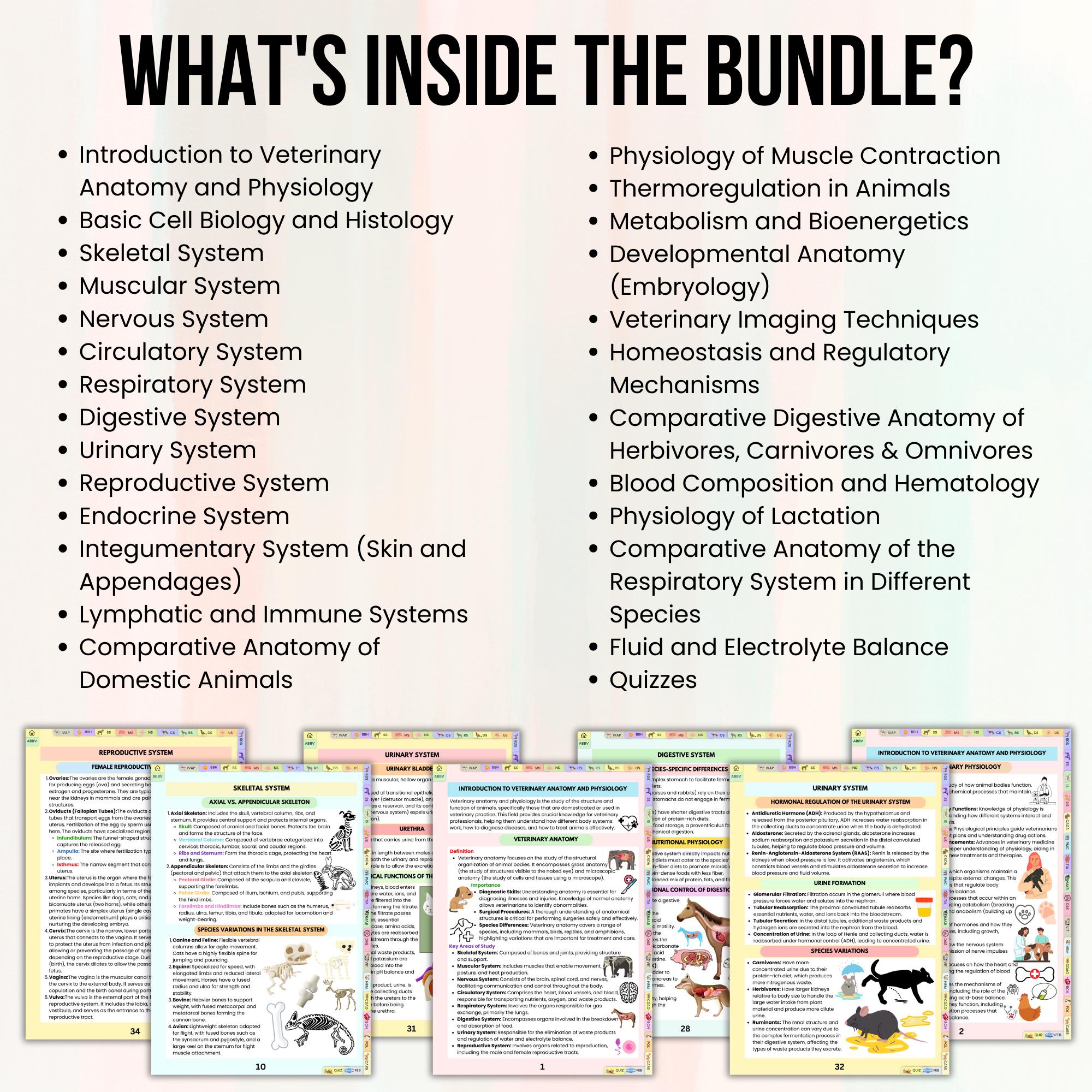 Veterinary Anatomy Notes | Digital Vet Medicine Study Guide | Animal ...
