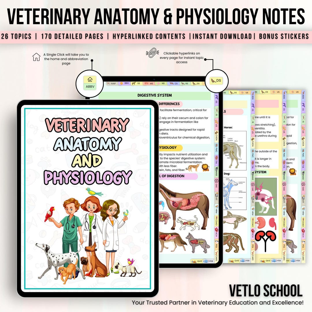 Veterinary Anatomy Notes | Digital Vet Medicine Study Guide | Animal ...