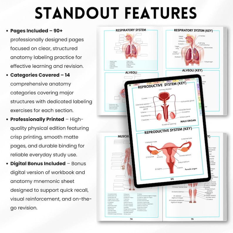 Human Anatomy Labeling Workbook Physical Book | Anatomy Study Guide for ...