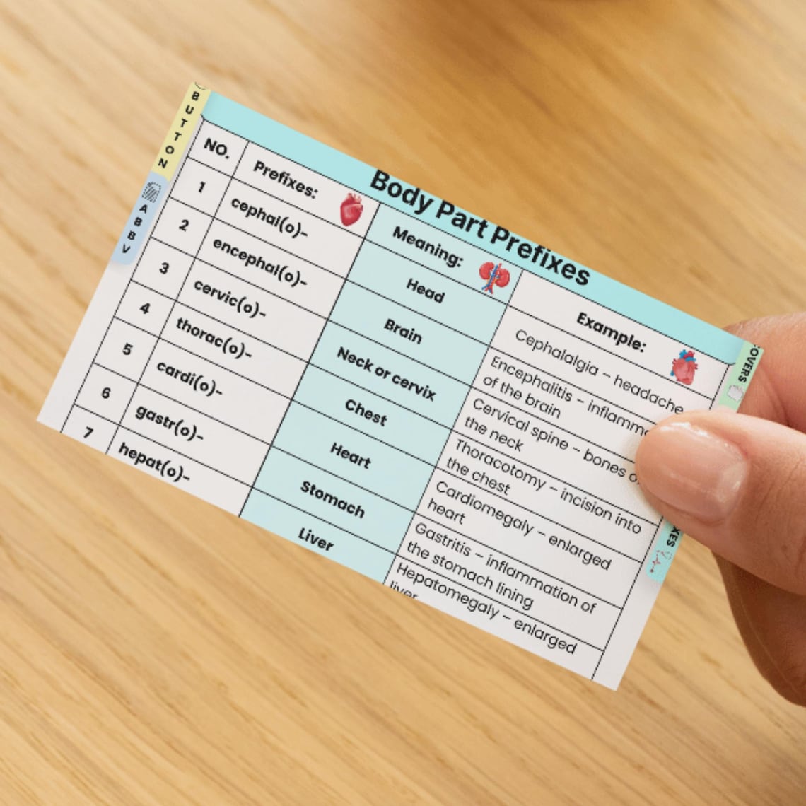 Medical Terminology Flashcards, Digital Nursing & Healthcare Study ...