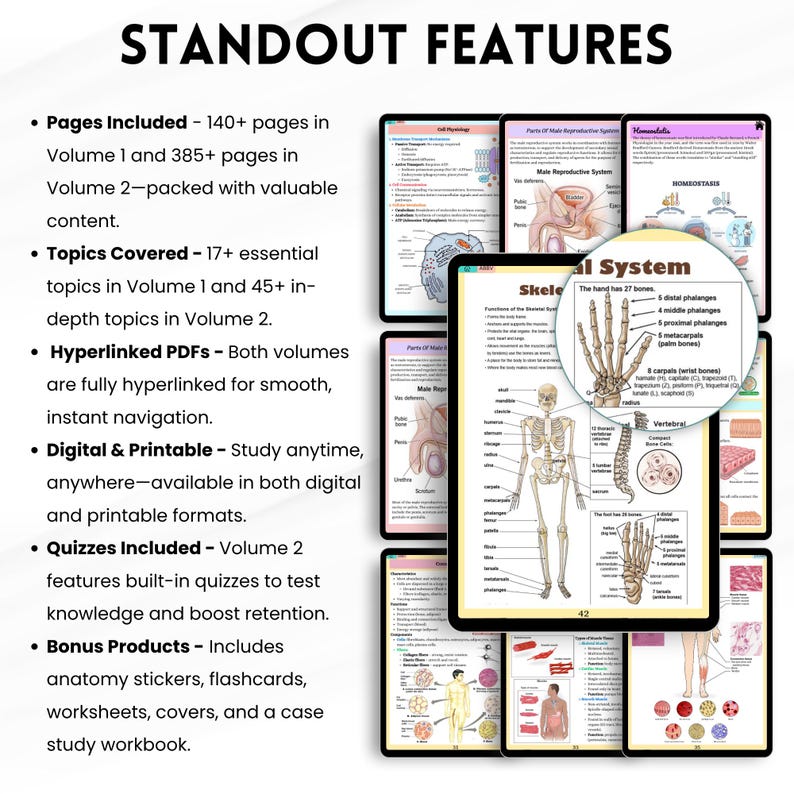 Anatomy & Physiology Digital Study Bundle, Human Body Systems Functions ...
