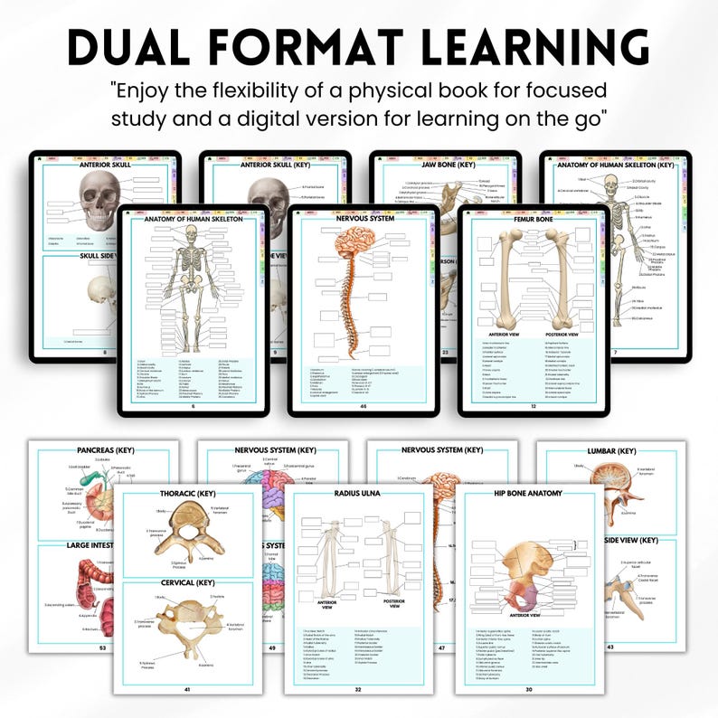 Human Anatomy Labeling Workbook Physical Book | Anatomy Study Guide for ...