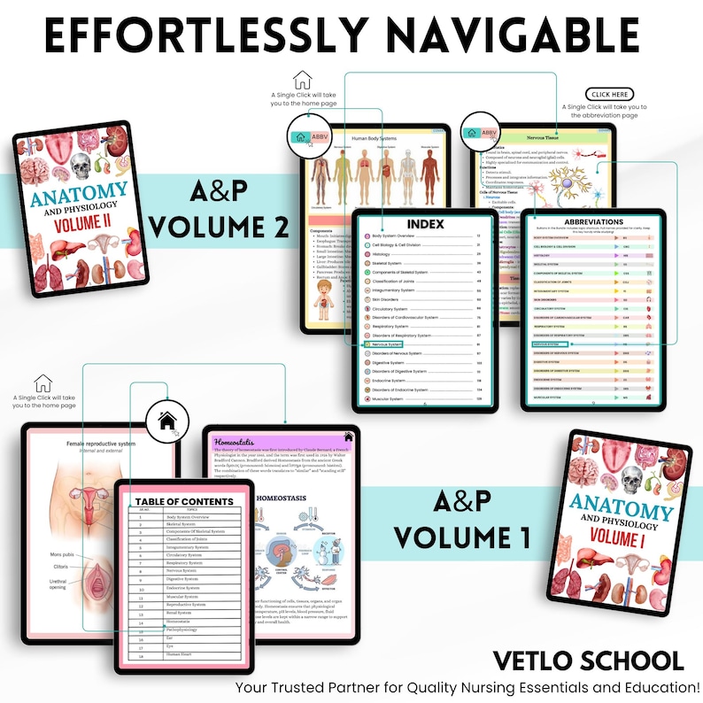 Anatomy & Physiology Digital Study Bundle, Human Body Systems Functions ...