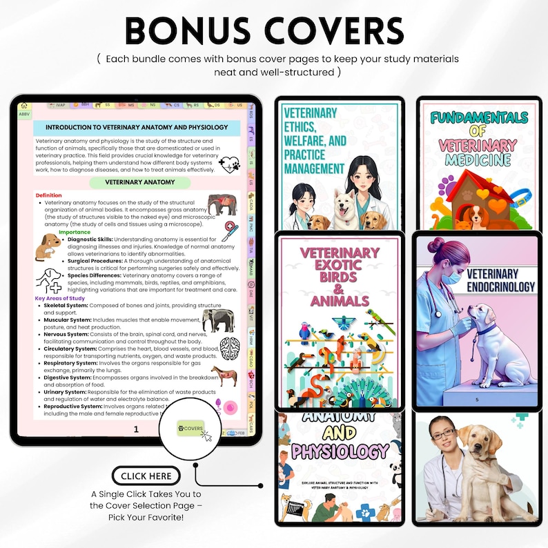 Veterinary Study Guide Mega Bundle | Vet Student Digital Notes ...