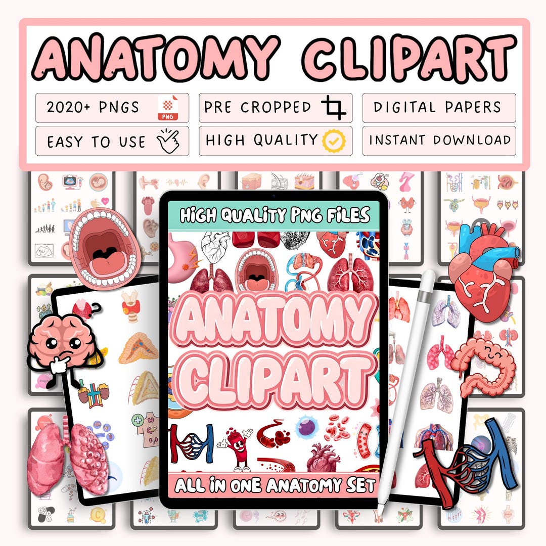 Anatomy Clipart 2020+ Bundle, Pre Cropped PNG, Digital Papers, Instant ...