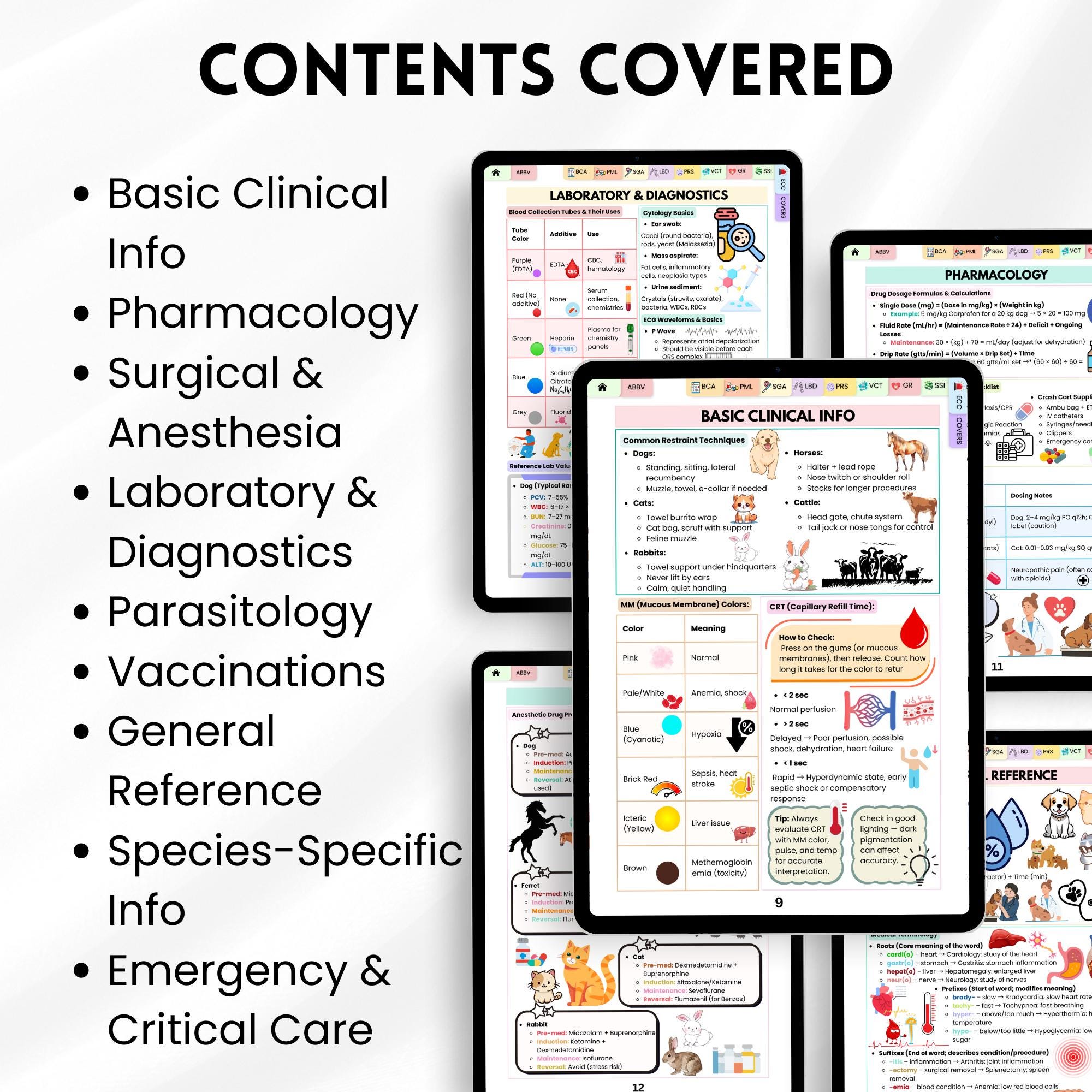 Vetnerinary Tech Cheat Sheet, Bonus Covers Included, Vet Tech Reference ...