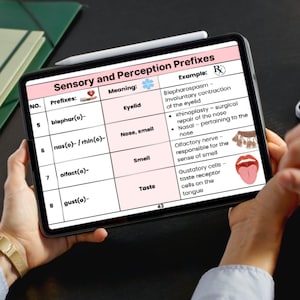 Medical Terminology Flashcards, Digital Nursing & Healthcare Study ...