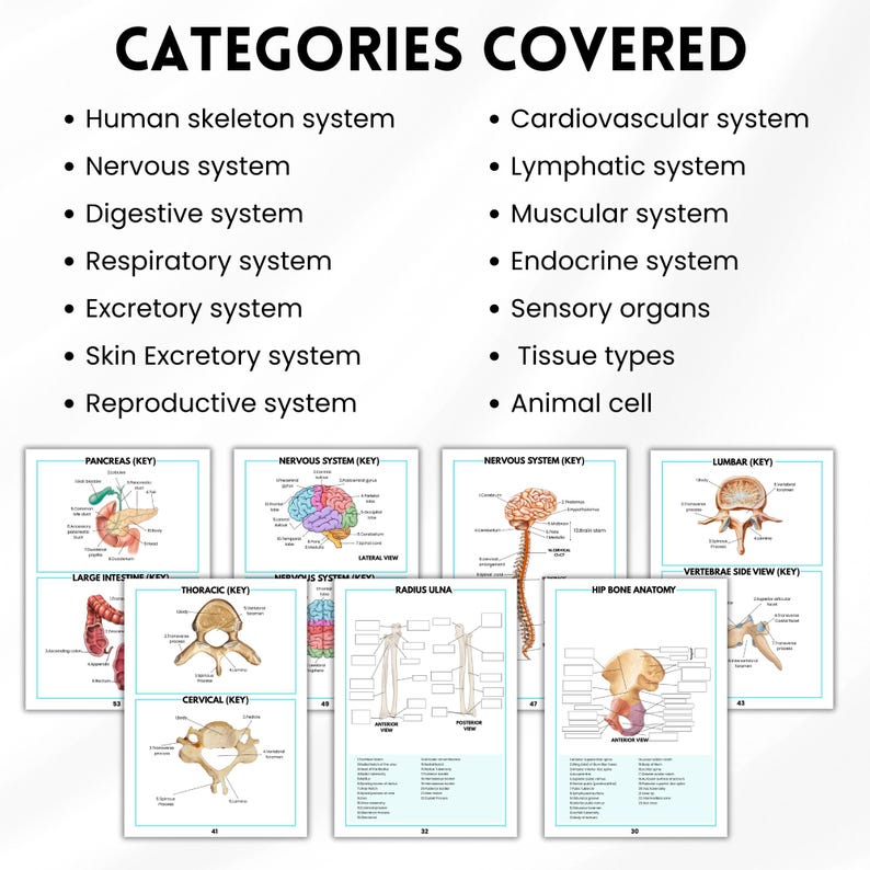 Human Anatomy Labeling Workbook Physical Book | Anatomy Study Guide for ...