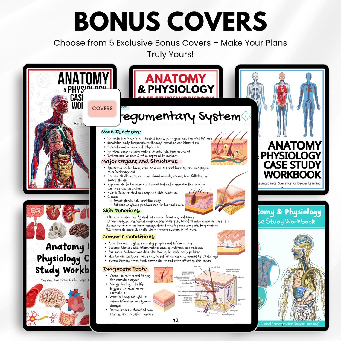 Anatomy & Physiology Case Study Workbook, Updated 2025-26, Included ...