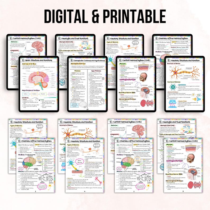 Nervous System Notes: Hyperlinked Neuro Nursing Study Bundle (digital ...