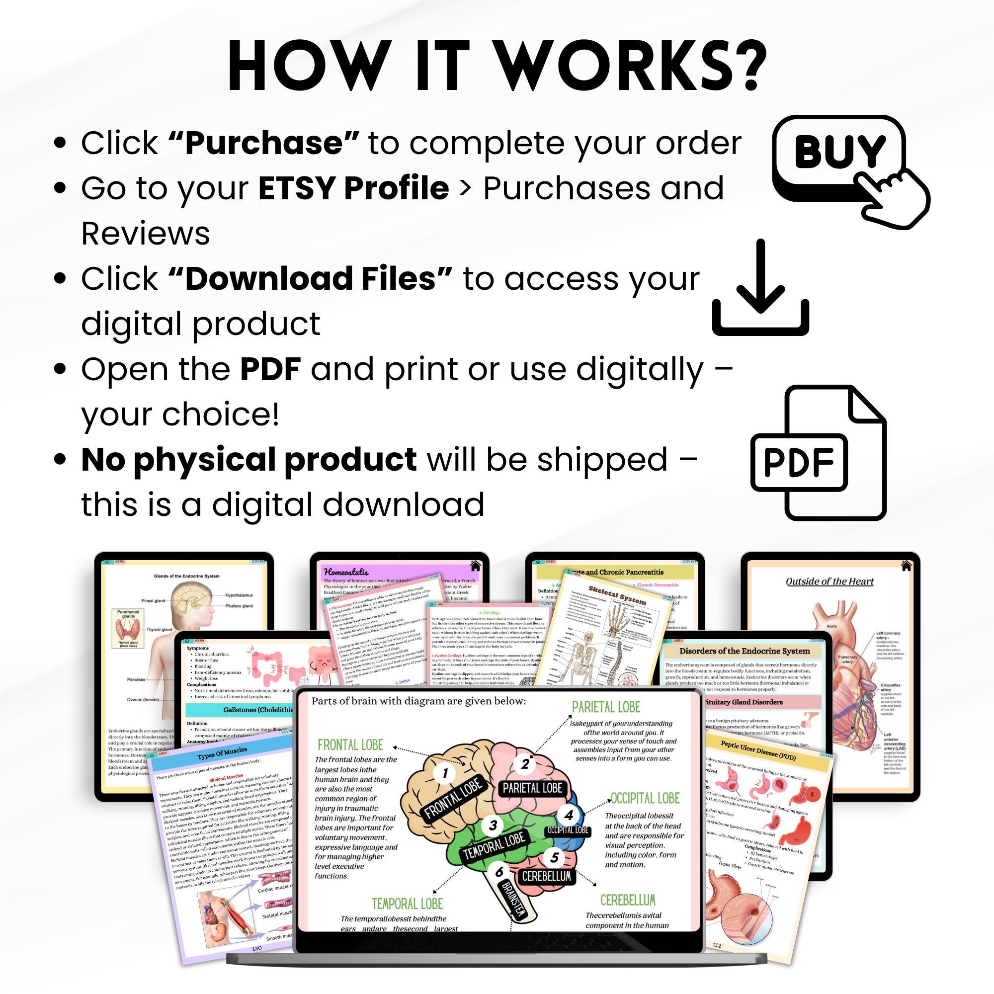 Anatomy & Physiology Digital Study Bundle, Human Body Systems Functions ...
