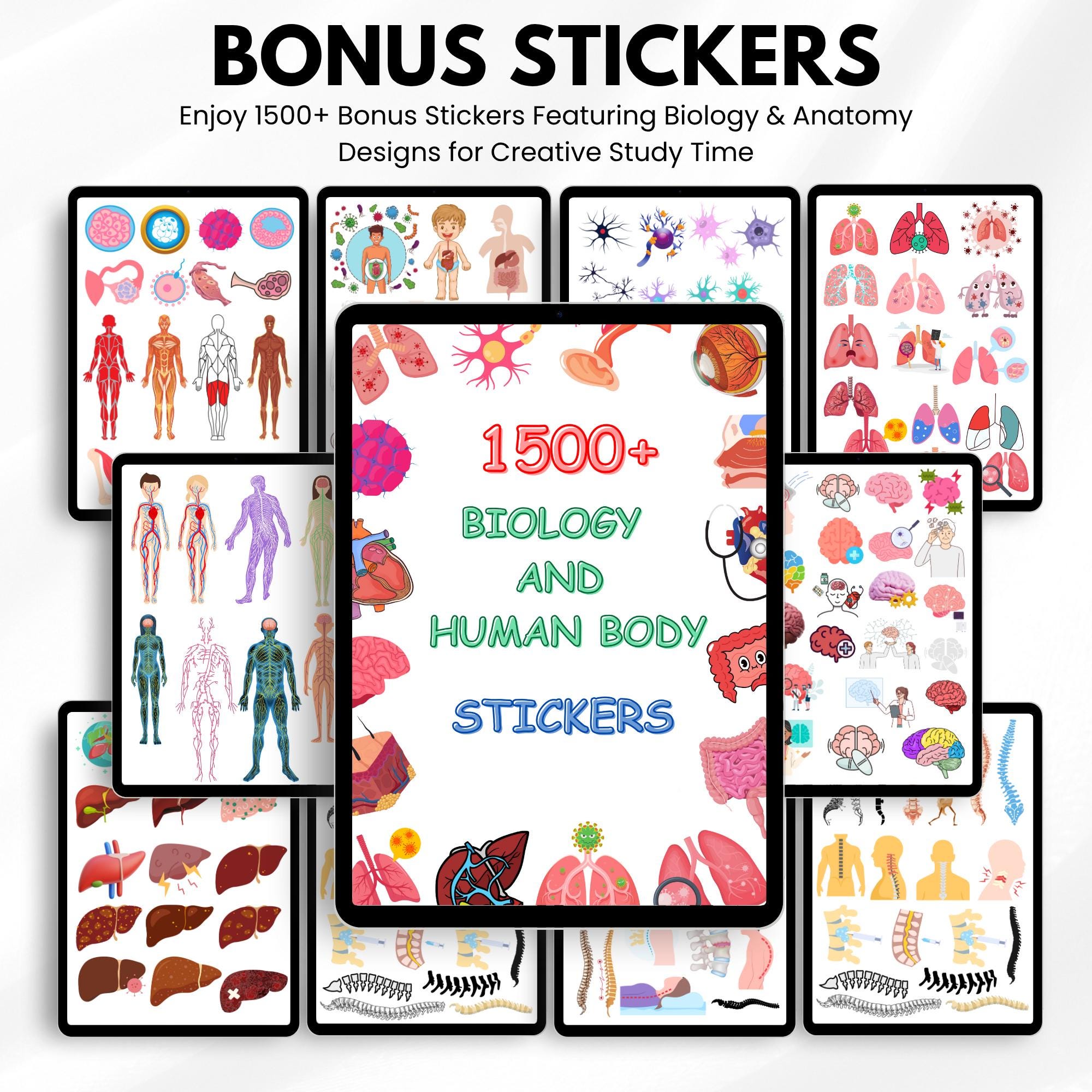Anatomy & Physiology Case Study Workbook, Updated 2025-26, Included ...