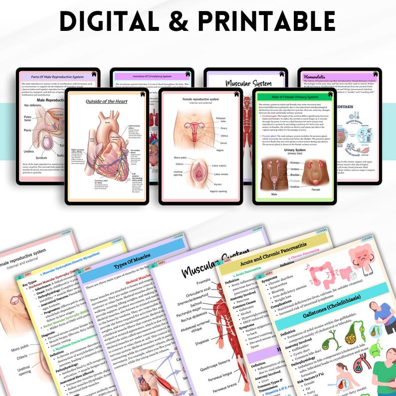Anatomy & Physiology Digital Study Bundle, Human Body Systems Functions ...
