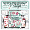 285+ Respiratory System Sticker Bundle | Goodnotes Stickers | Pre ...