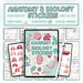 285+ Respiratory System Sticker Bundle | Goodnotes Stickers | Pre ...