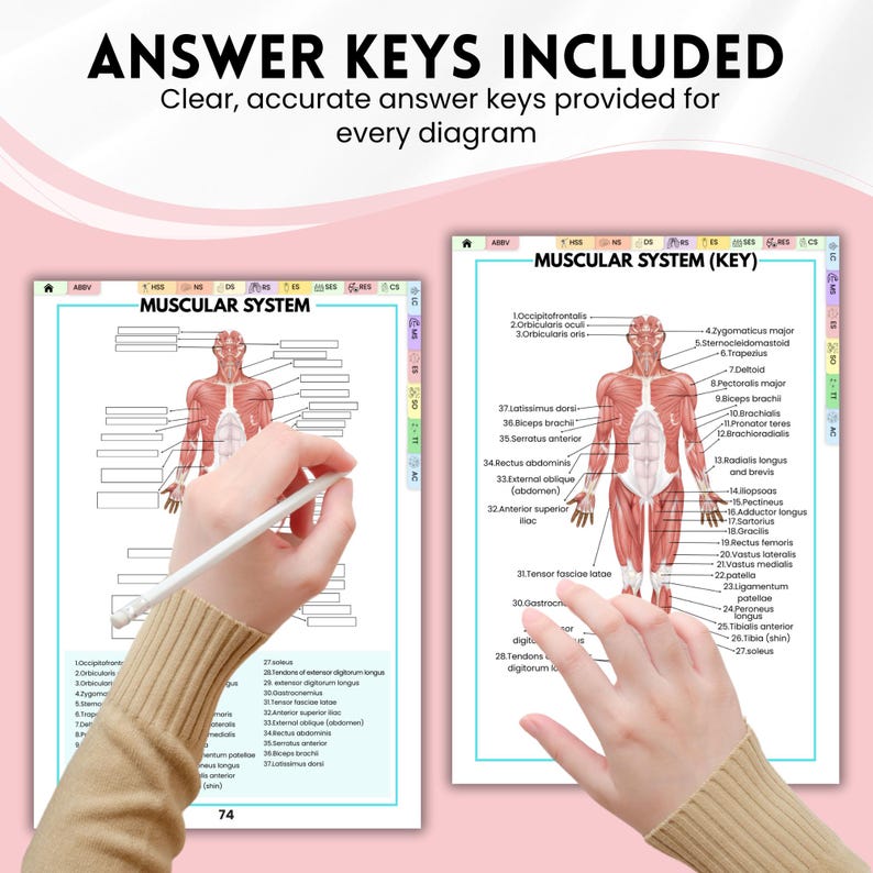 Human Anatomy Labeling Workbook | Anatomy Study Guide PDF | Nursing ...