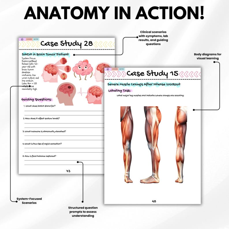 Anatomy & Physiology Case Study Workbook, Updated 2025-26, Included ...