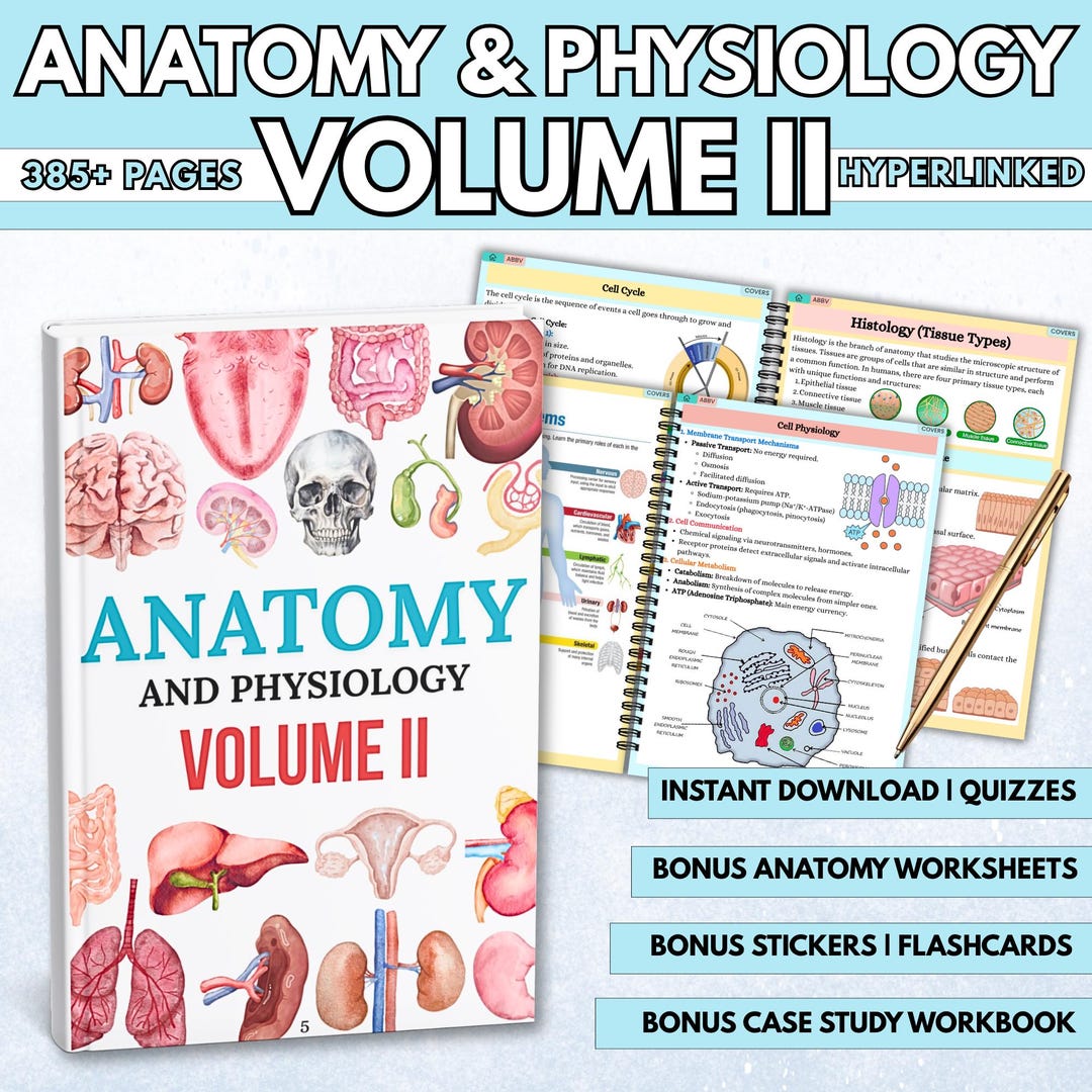 385+ Anatomy & Physiology Hyperlink Bundle With Flashcards and Sticker ...