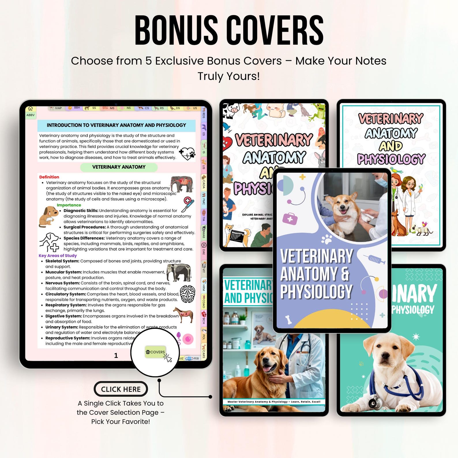 Veterinary Anatomy Notes, Veterinary Nurse, Anatomy Study Guide, Vet ...