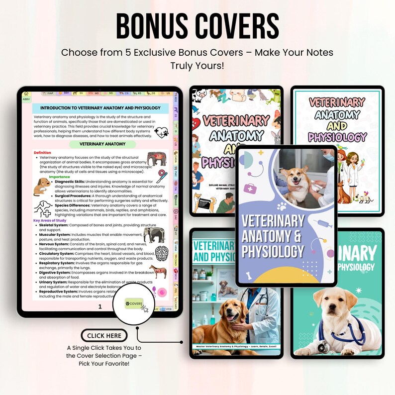 Veterinary Anatomy Notes, Veterinary Nurse, Anatomy Study Guide, Vet ...