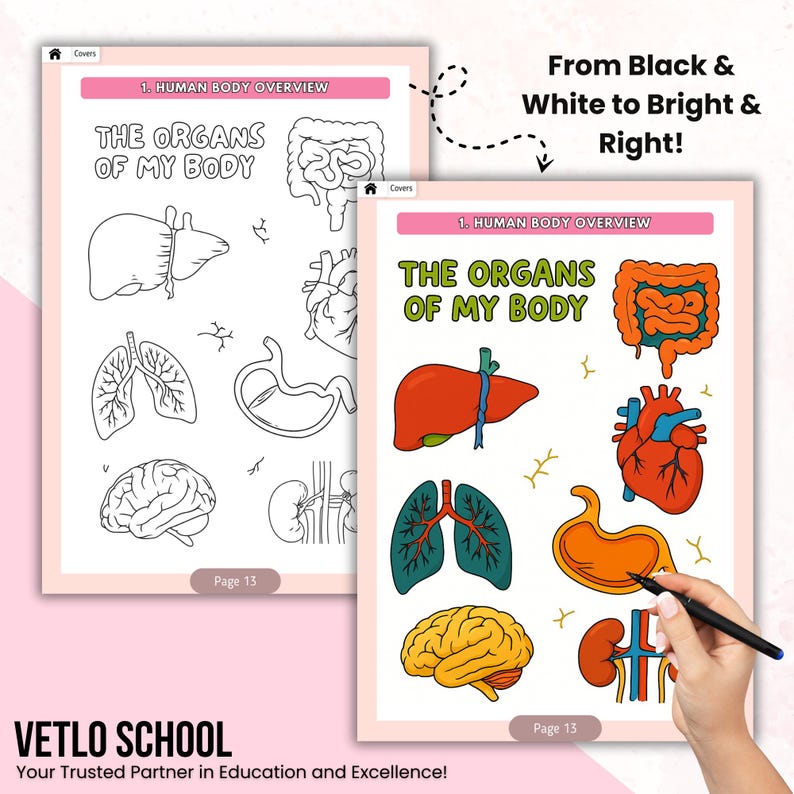 Human Anatomy Coloring Book, Body System & Structure Learning Workbook ...
