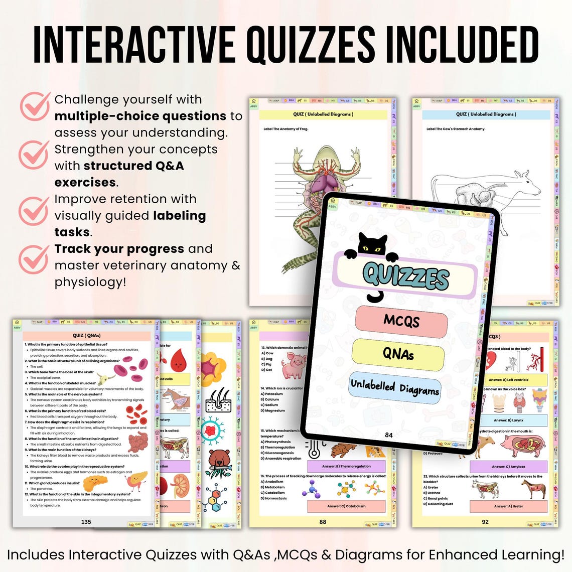Veterinary Anatomy Notes | Digital Vet Medicine Study Guide | Animal ...