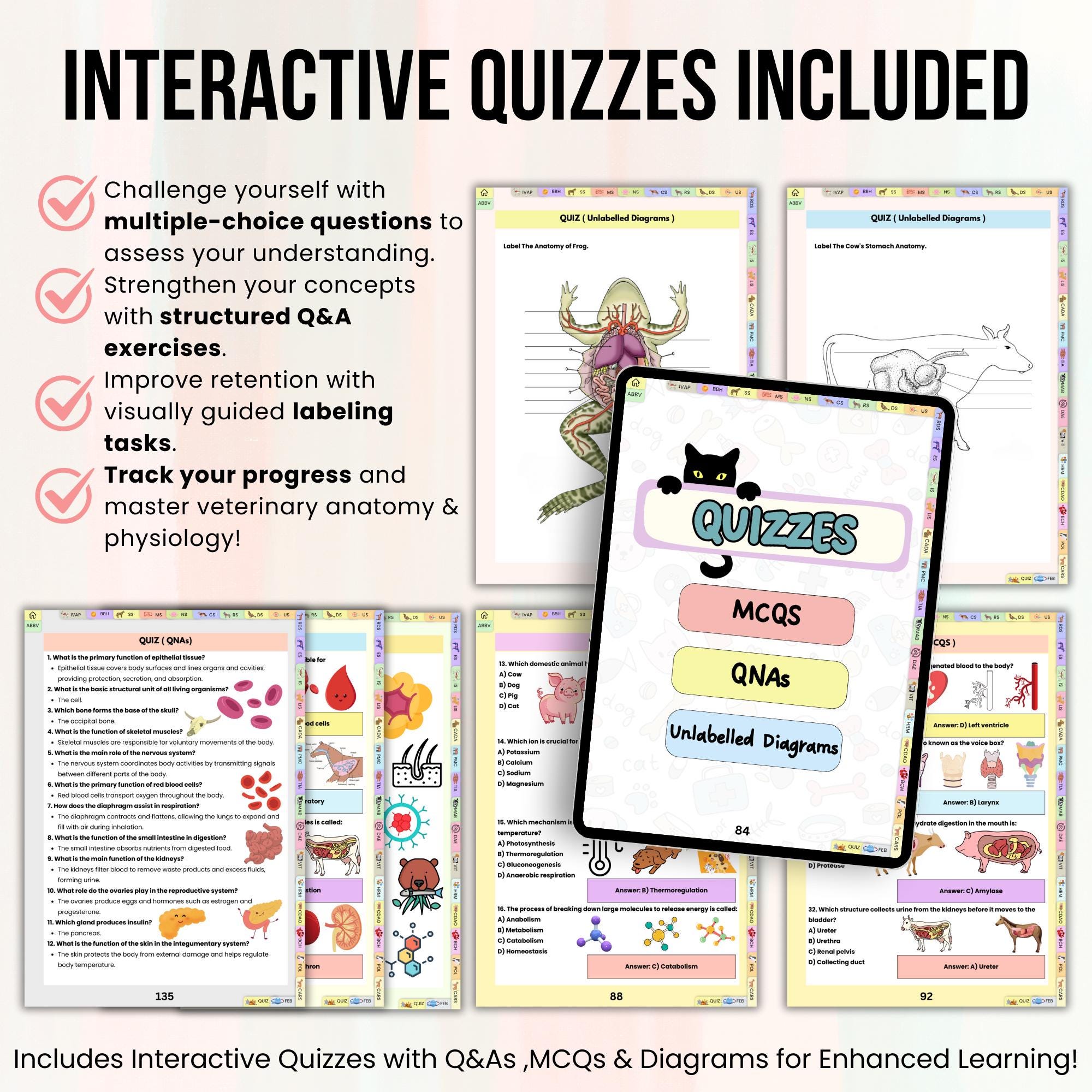 Veterinary Anatomy Notes | Digital Vet Medicine Study Guide | Animal ...