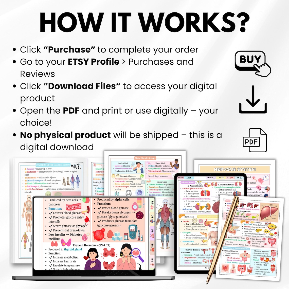 Anatomy and Physiology Cheat Sheet for Nursing | A&P Study Guide PDF ...