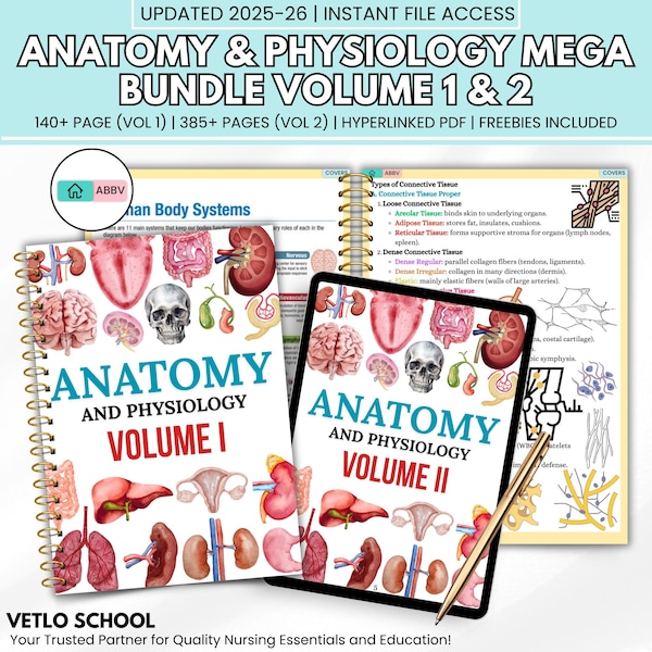 Anatomy and Physiology Visual - Etsy UK
