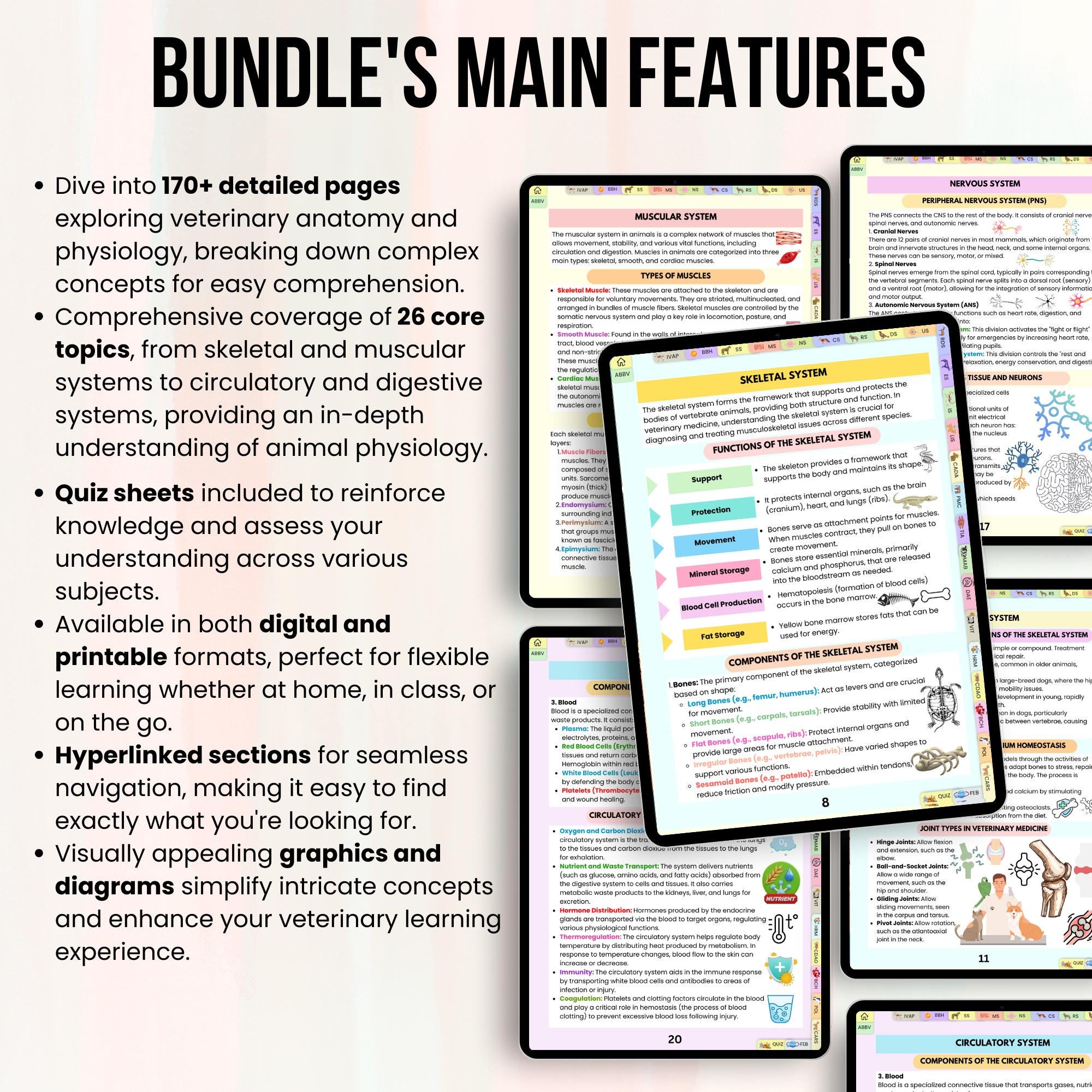 Veterinary Anatomy Notes | Digital Vet Medicine Study Guide | Animal ...