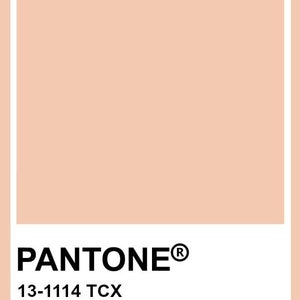 Peach Silk Ribbon 1/4" - 1.25” Wide BY THE YARD Pantone Bellini - Etsy