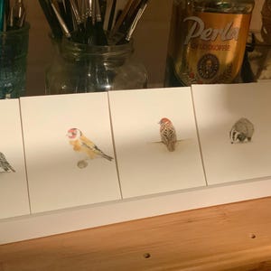 Robin Bird Tiny Drawing - Original 2x2 Cm Tiny Bird Art Drawing ...