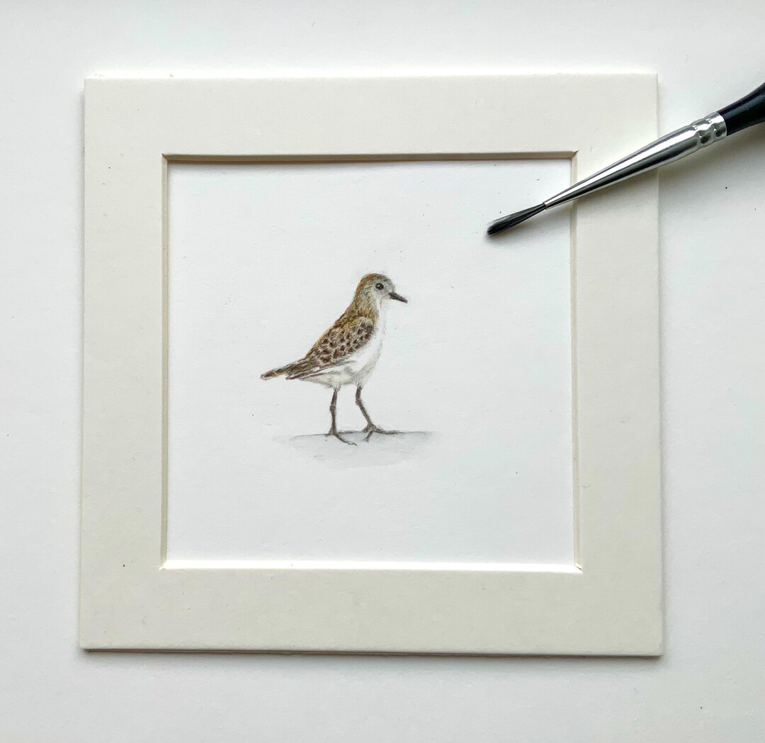 Sandpiper Miniature Drawing - Original 2x2 Cm Tiny Bird Art Drawing ...