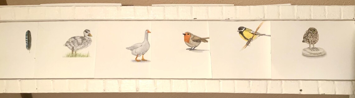 Robin Bird Tiny Drawing - Original 2x2 Cm Tiny Bird Art Drawing ...