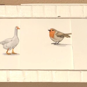 Robin Bird Tiny Drawing - Original 2x2 Cm Tiny Bird Art Drawing ...