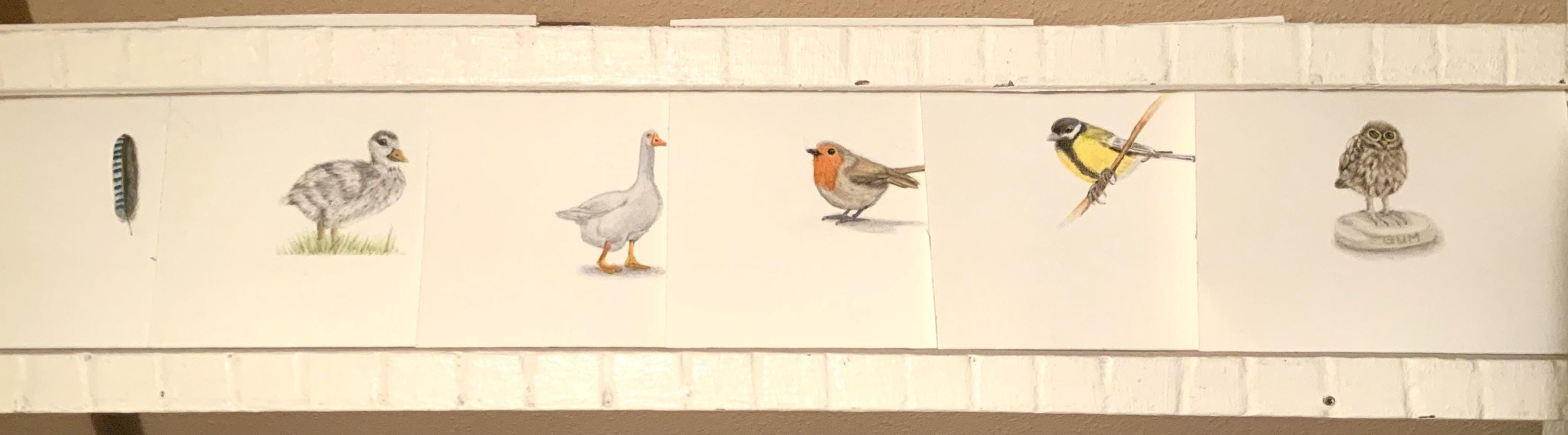 Robin Bird Tiny Drawing - Original 2x2 Cm Tiny Bird Art Drawing ...