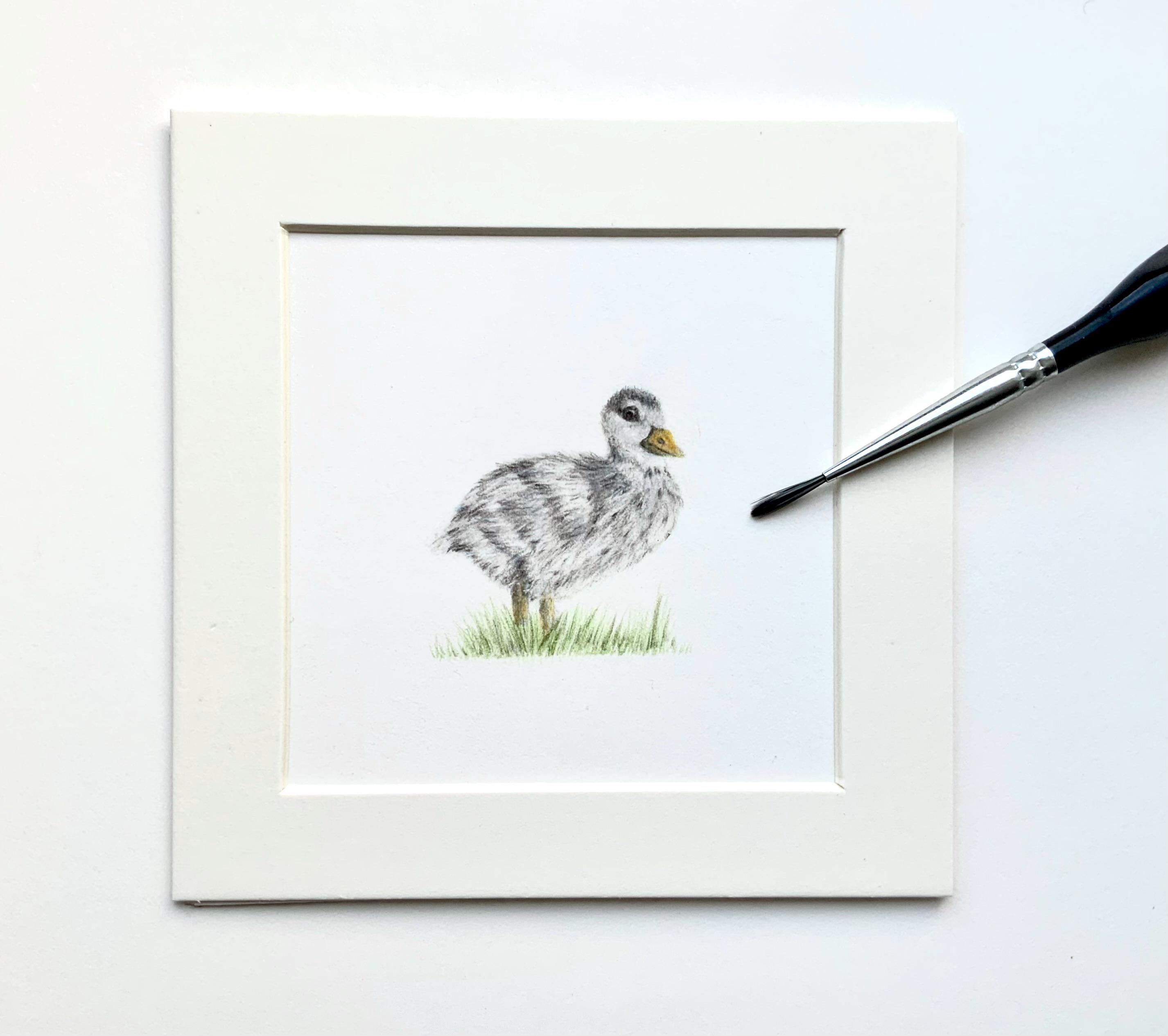 Grey Duckling Miniature Drawing - Original 2x2 Cm Tiny Bird Art Drawing ...