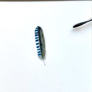 Feather of a Jay Drawing - Original 2x2 Cm Tiny Bird Art Drawing ...