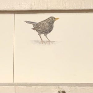 Feather of a Jay Drawing - Original 2x2 Cm Tiny Bird Art Drawing ...