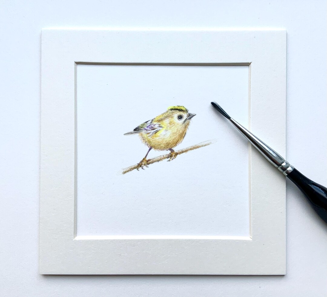 Goldcrest Bird Tiny Drawing - Original 2x2 Cm Tiny Bird Art Drawing ...